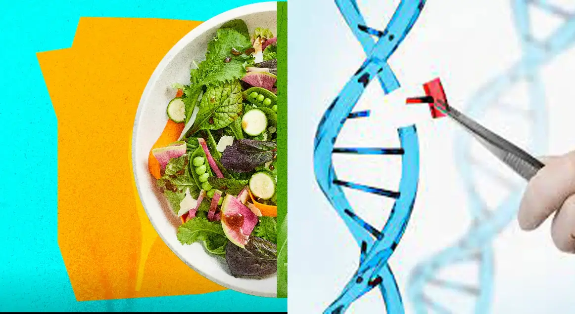 What’s the difference between GMO and CRISPR - Genetic Literacy Project
