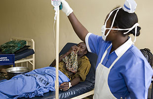 Turning foe friendly: Domestication of infectious disease - Genetic ...