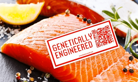 GMO AquAdvantage salmon labeling questions resurface - Genetic Literacy ...