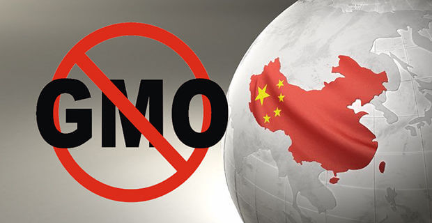 GMO crops still 'sticking point' as US-China trade deal moves toward ...