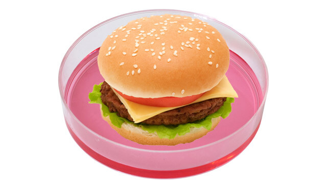 Where’s the beef (and fat)? Are you ready for a juicy 'test tube ...
