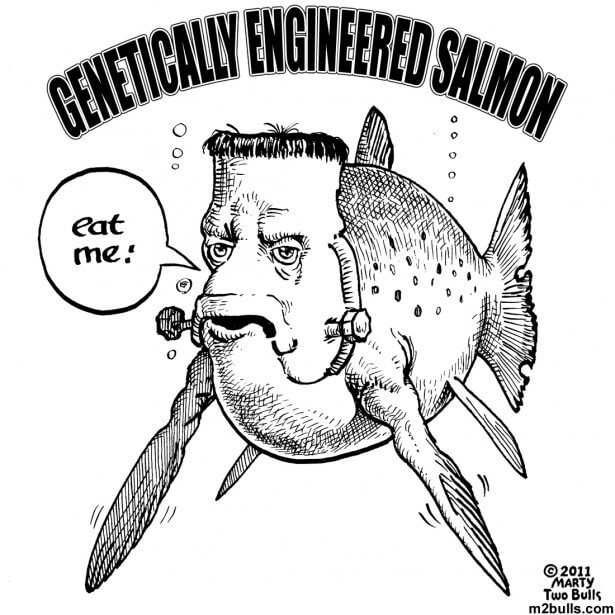 Viewpoint: Fish farming has a sustainability problem and genetic ...