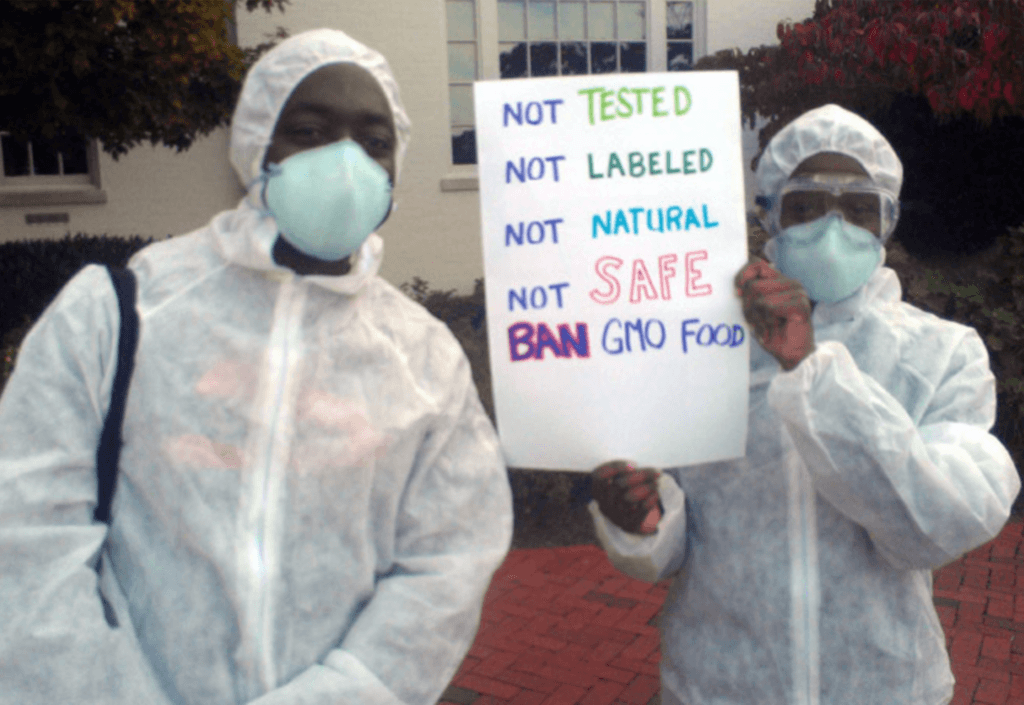11 GMO Myths, Part II: Do GMOs pose health and ecological dangers ...