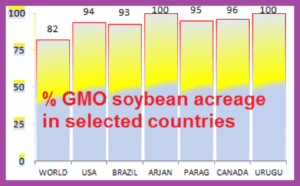 With GMO soybean market booming, is there a future for conventional ...