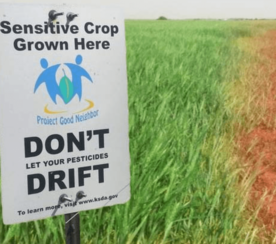 GMO crops not ‘contaminating’ nearby organic farms, USDA data suggest ...