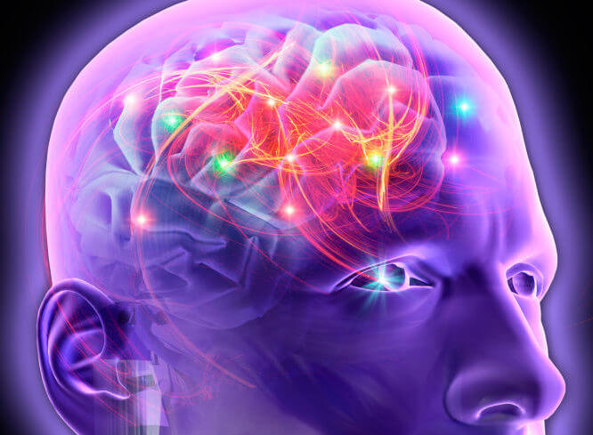 Malfunctioning of 320 gene 'epileptic network' may trigger epilepsy ...