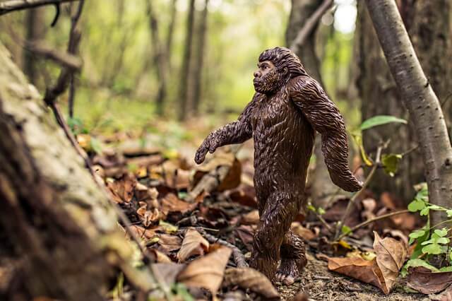 Were Neanderthals smarter than we originally thought? - Genetic ...