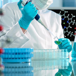 How Israeli software improves crop yields through genetic analysis ...