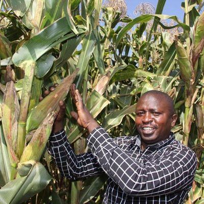 Kenyan farmer: We've been waiting for too long —government needs to let ...