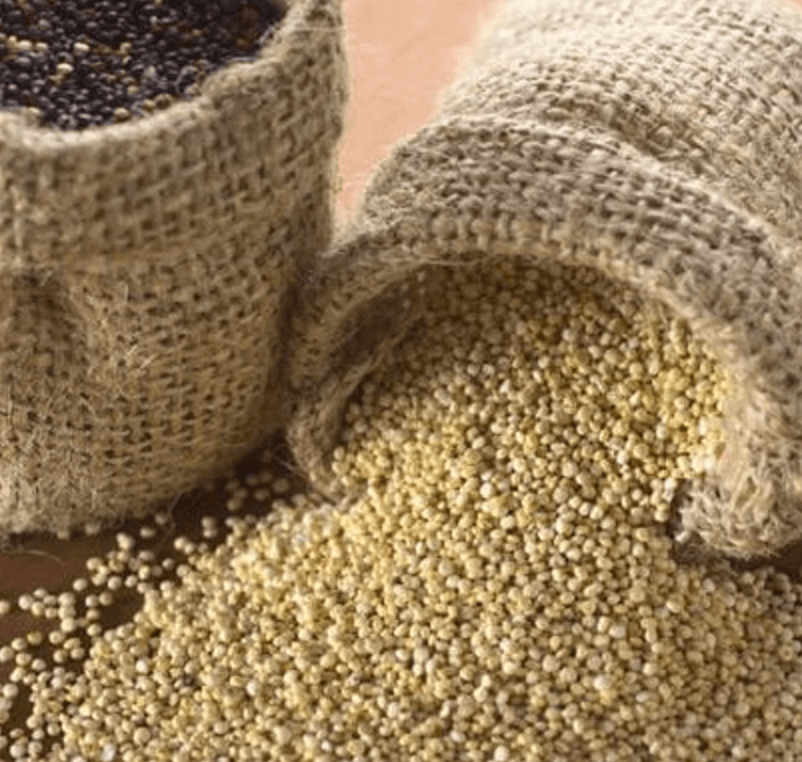 Producing 'super foods': Unlocking quinoa genome opens door to new ...