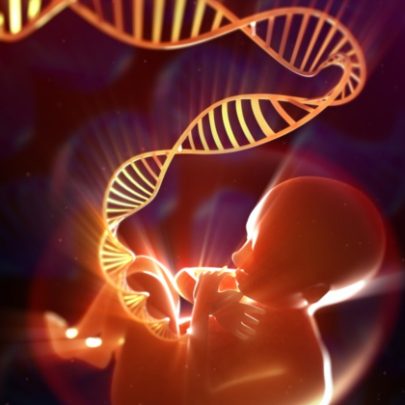 Getting a head start: What parents can learn from prenatal genetic ...