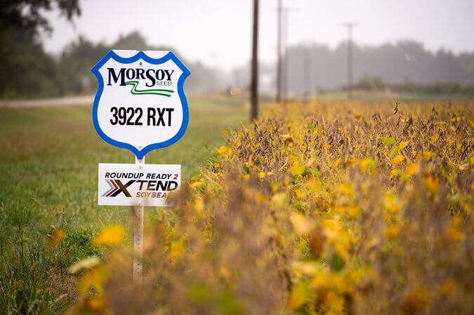 Monsanto's dicamba herbicide crisis divides farmers on pesticide ...