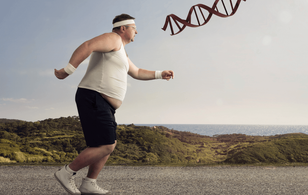 'Fault-free obesity': How much are fat-storing genes causing expanding ...
