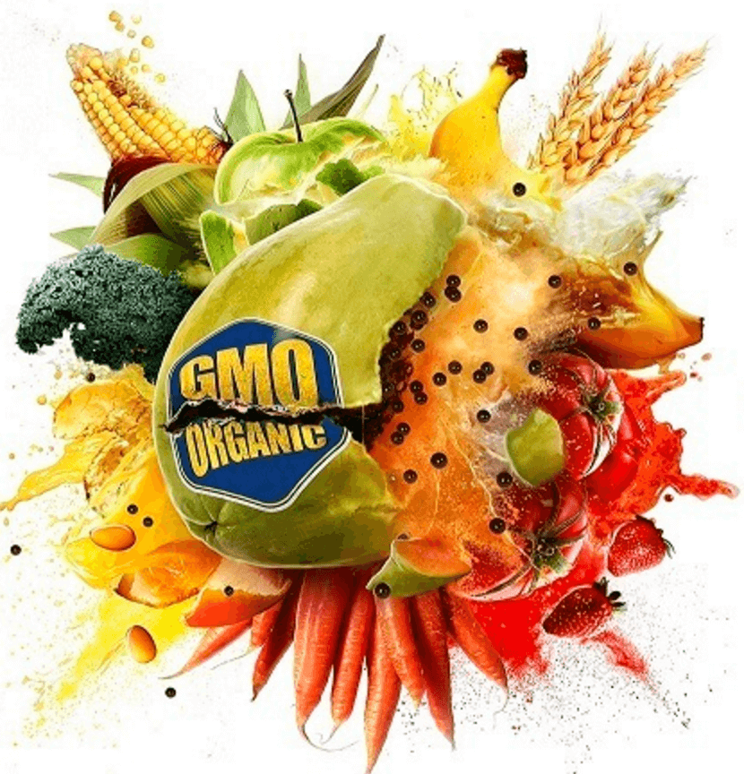 Pro-GMO documentary 'Food Evolution' censored in France? - Genetic ...