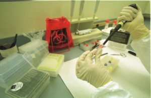 Can the microbiome join DNA and fingerprints in the CSI toolkit ...