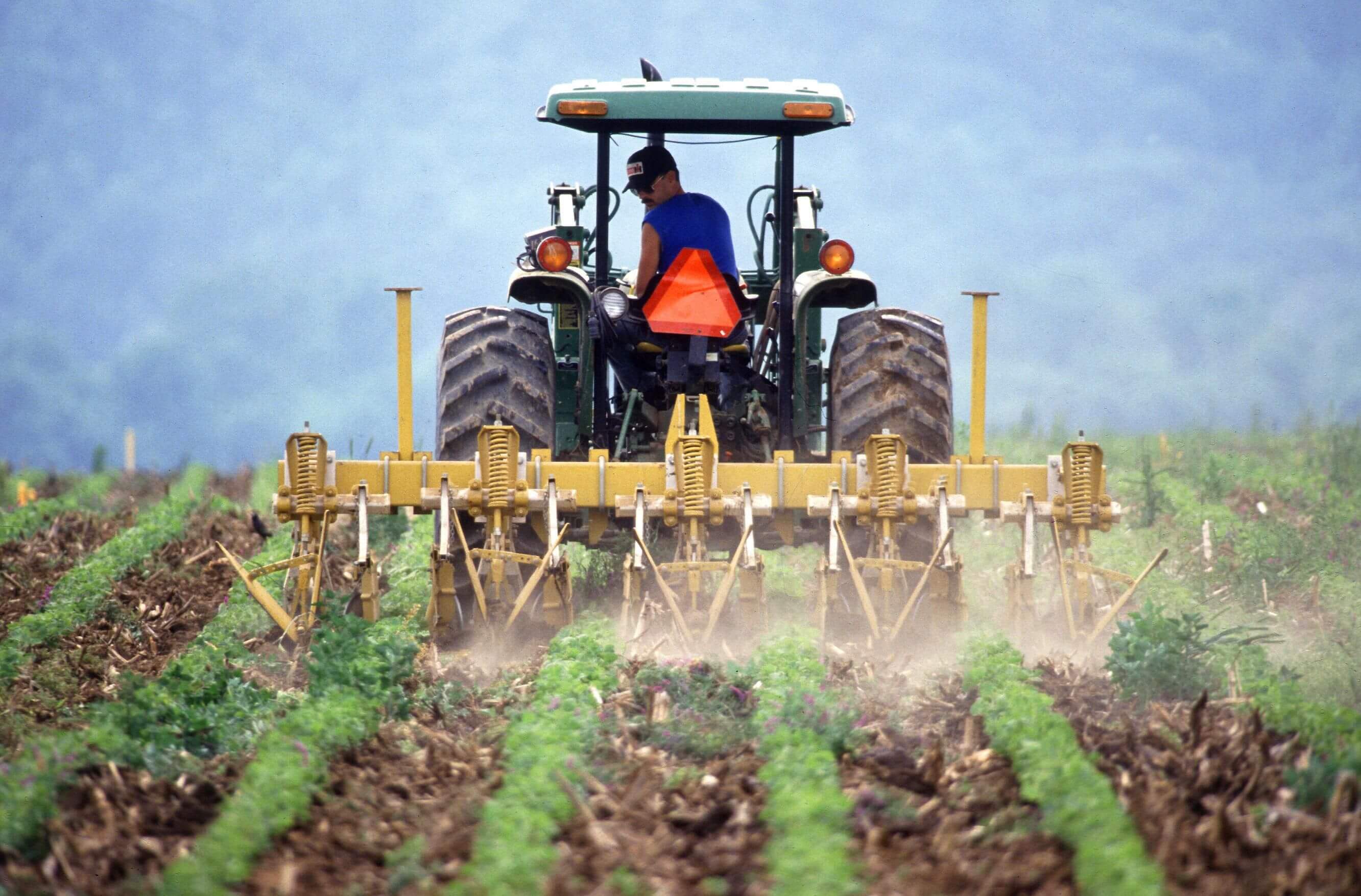 Combating climate change: Glyphosate herbicide ban would hurt no-till ...