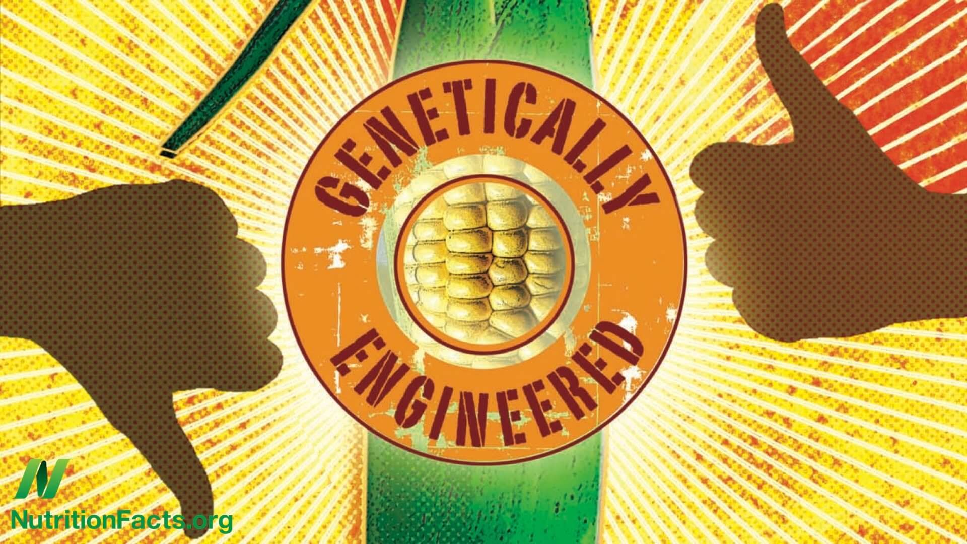 Society of Toxicology: Science has 'overwhelmingly demonstrated' GMO ...