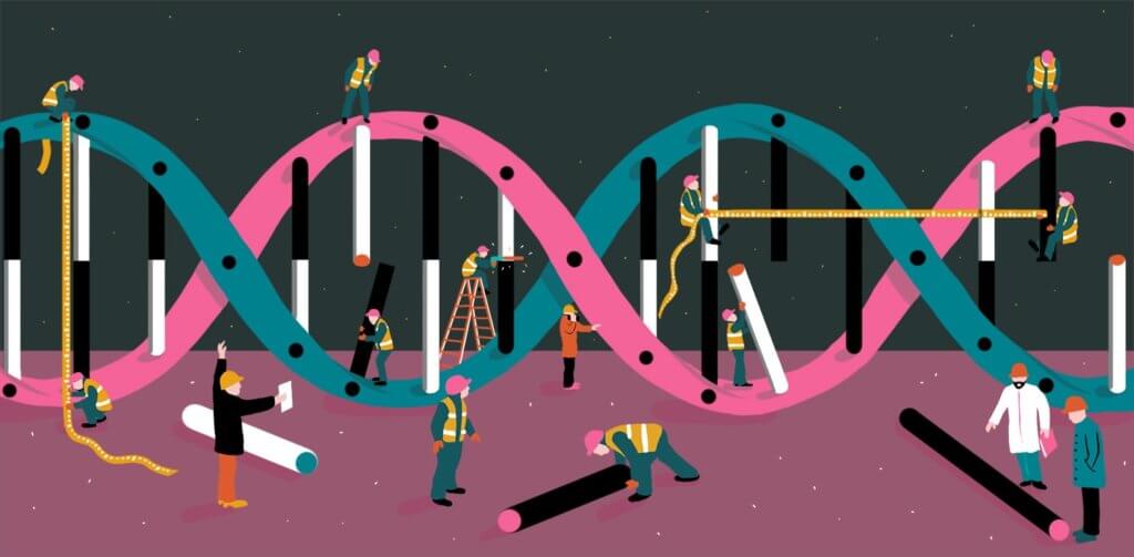 Incurable arthritic knees? Gene therapy offers new hope - Genetic ...