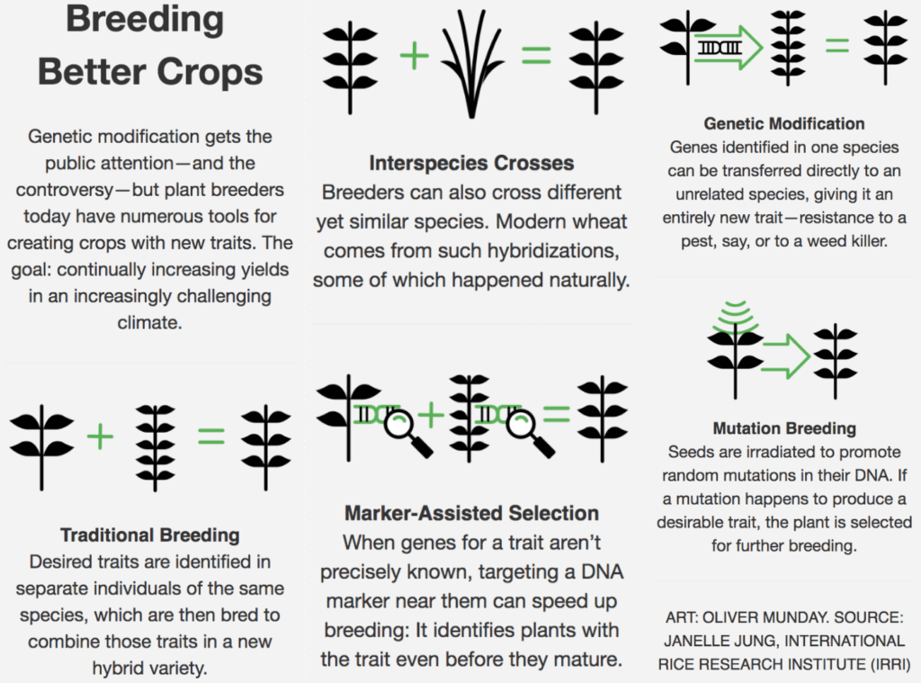 Viewpoint: Green Revolution II will require GMOs and a paradigm shift ...