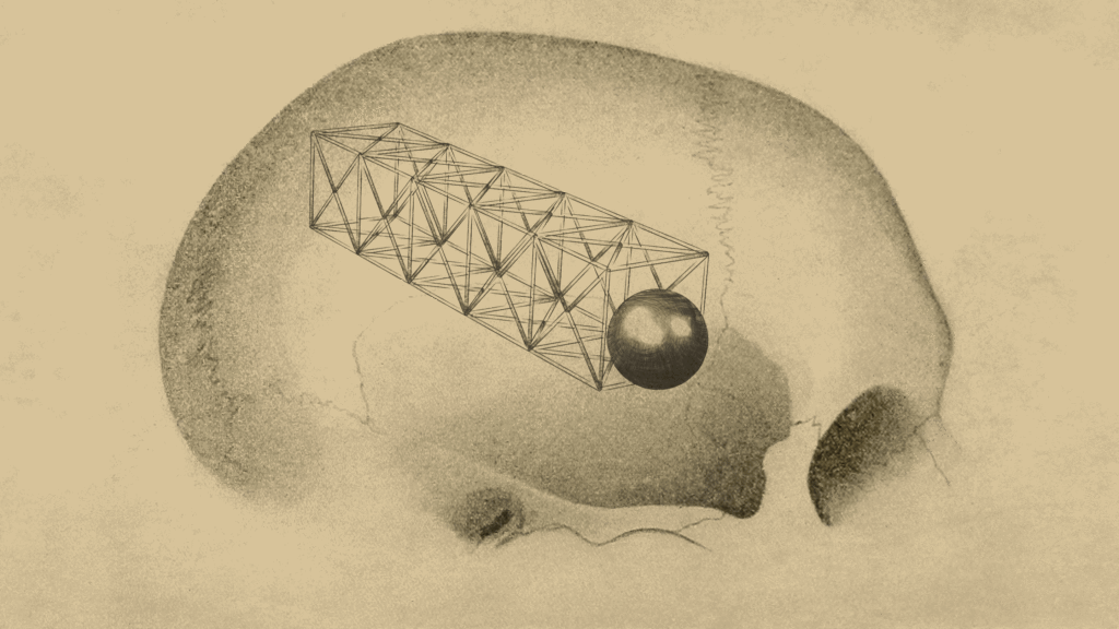 Delving into theories about the brain's balancing act - Genetic ...