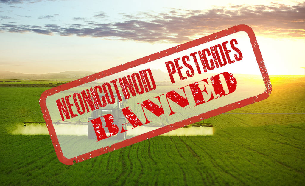 What's missing from claims that neonicotinoids are killing bees, birds ...