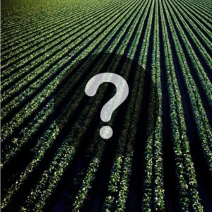 Risk, hazard and the precautionary principle: Why Europe gets crop ...