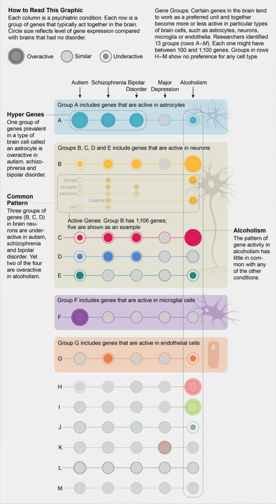 Infographic: Examining shared genetics of different psychiatric ...