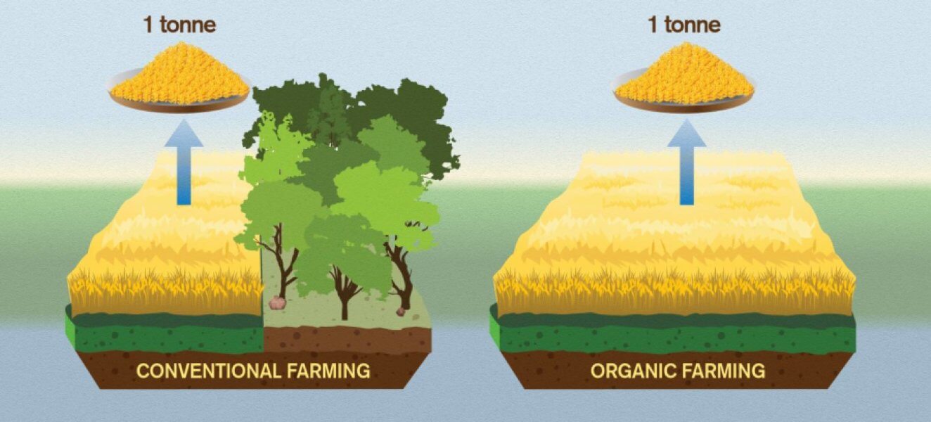 Viewpoint: Organic food movement 'shoots itself in the foot' by ...