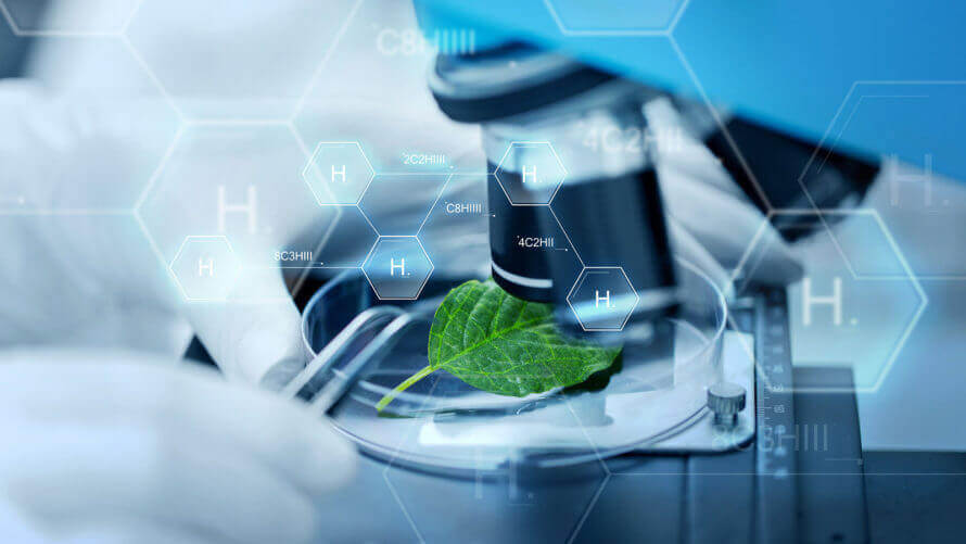 Smartphone-powered device quickly detects diseased plants, could help ...