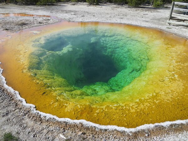 Microbes from Yellowstone National Park could spur lab-grown food ...
