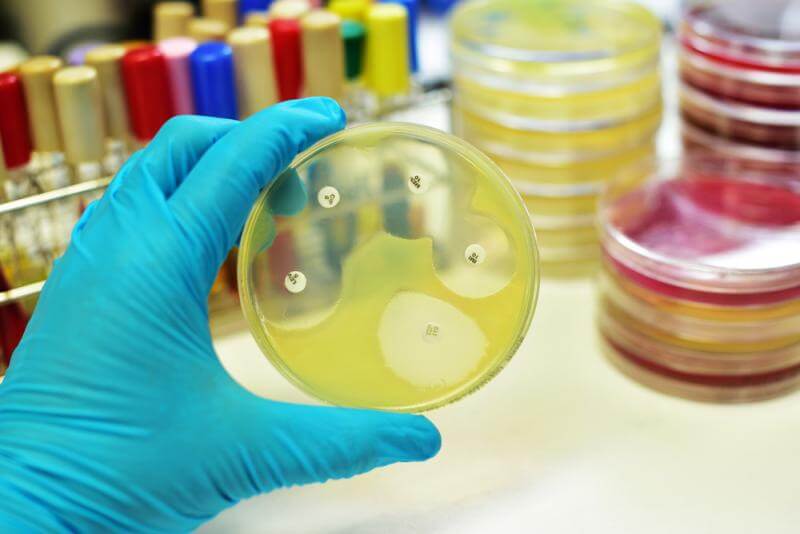 How a genetically-engineered phage therapy defeated a drug-resistant ...