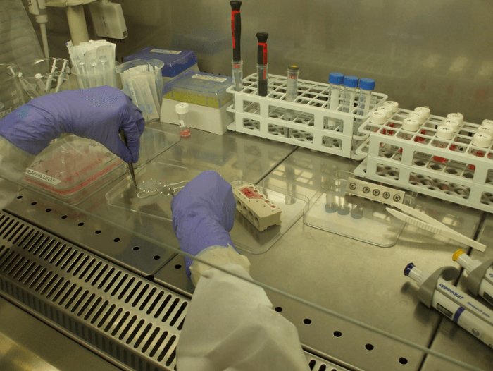 Space station experiment testing 'nano antioxidants' that could fight ...
