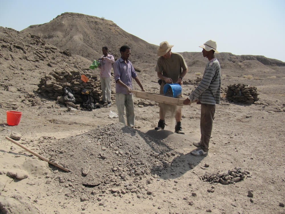 Were hominids making stone tools 2.6 million years ago? Controversy ...