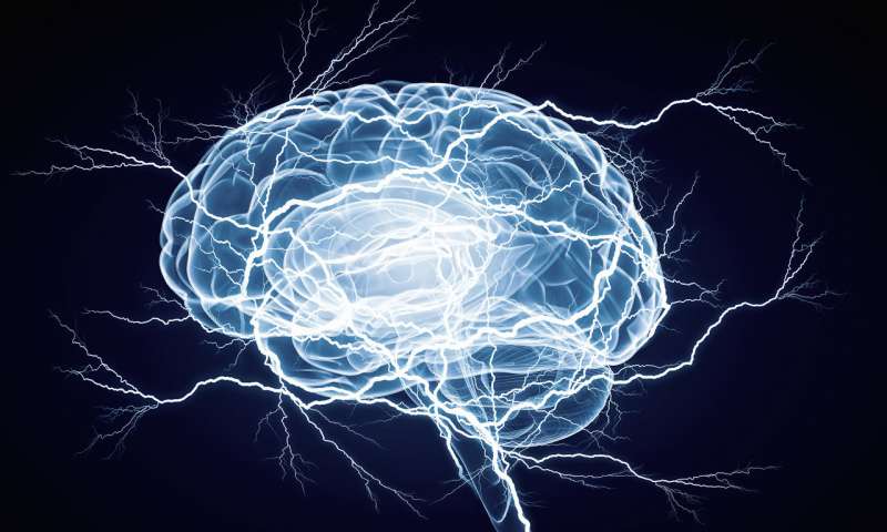 Convulsive seizures could play a key role in Alzheimer’s disease ...