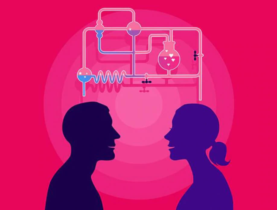 Does testosterone impact moral decisions? Not according to this ...