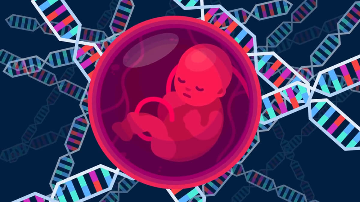 Rushing to revamp international gene-editing rules before 'crazy people ...