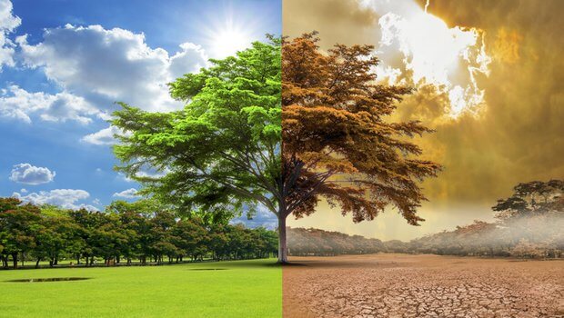 How synthetic biology in farming could slow climate change ...