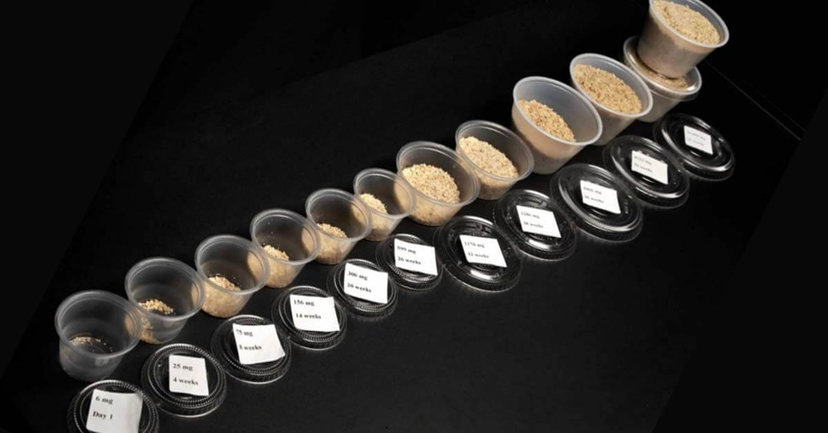 Chasing freedom from food allergies through controversial oral ...