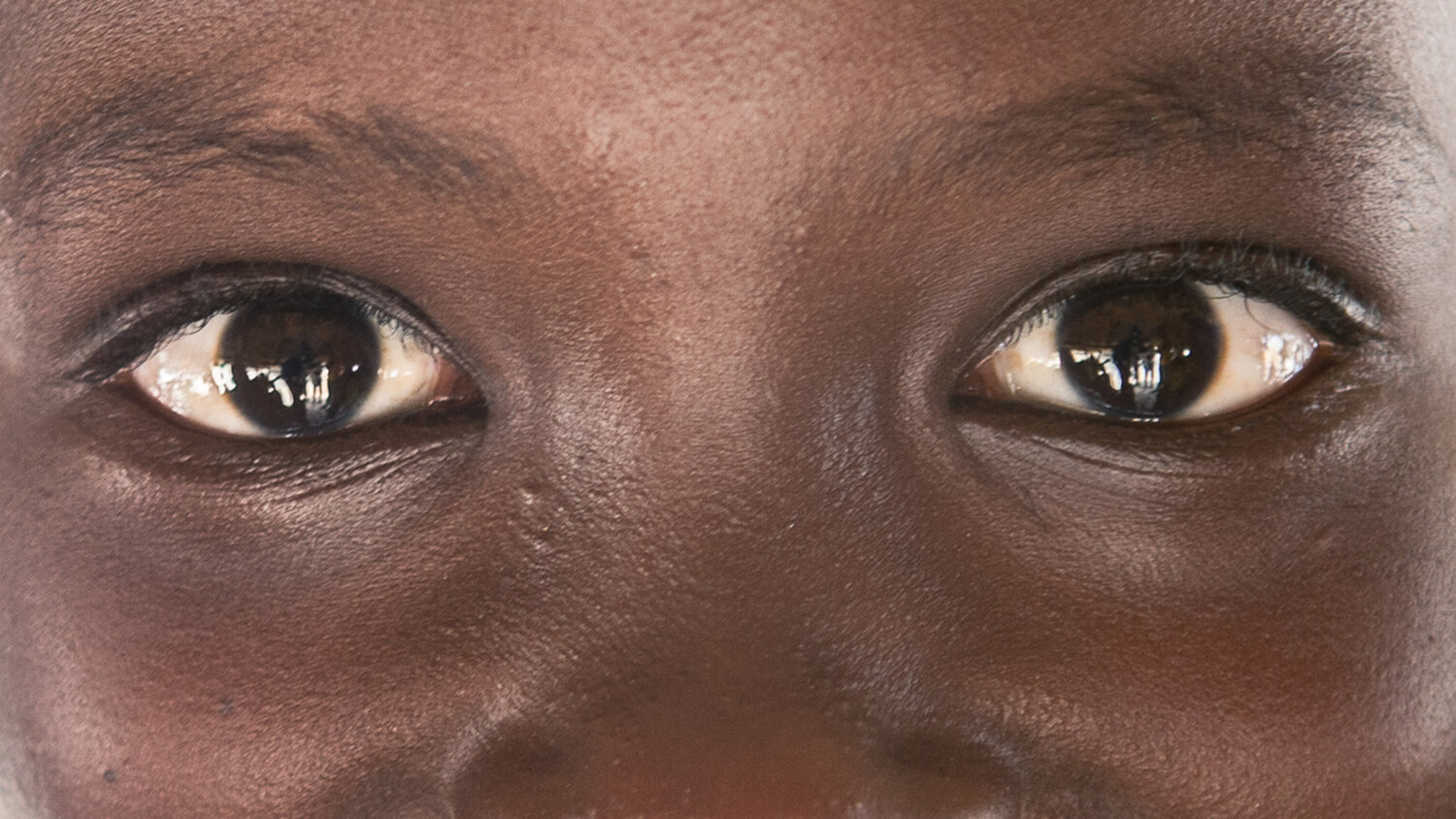 How math could explain the 'great mystery of human vision' - Genetic ...