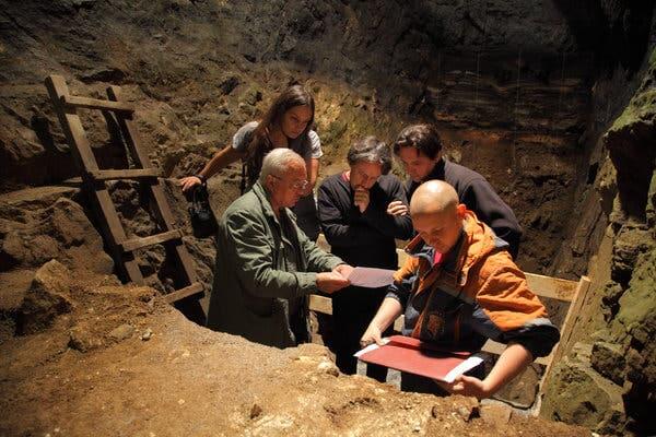 From hominids to animals: Who lived in Siberia’s famous Denisova Cave ...