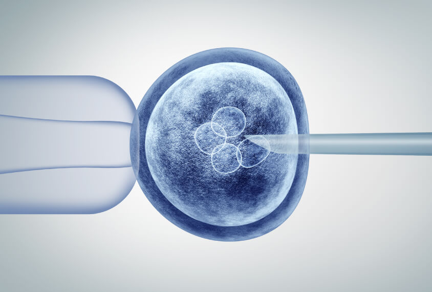 Why it's so difficult for human embryos to survive CRISPR gene editing ...