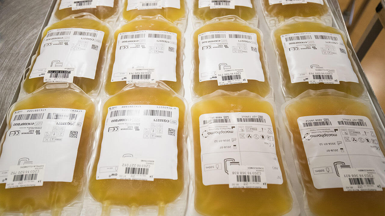 Bringing 'medical lore' to life: Century-old practice of plasma ...