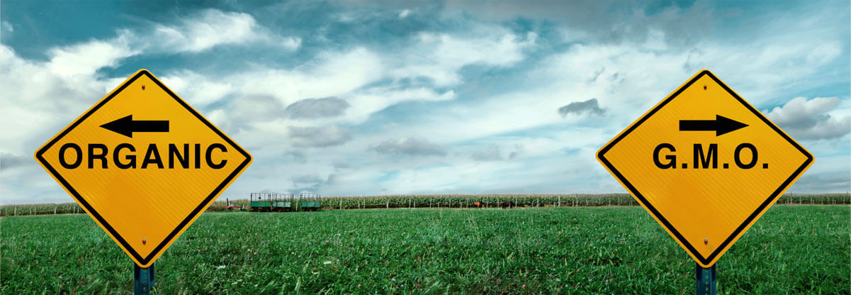 GMO and organic crops can coexist with minimal risk of contamination ...