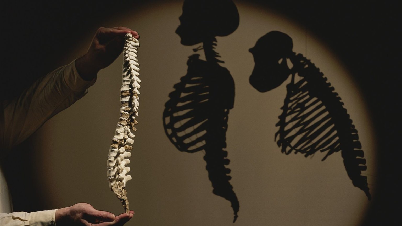 7 things we learned about human evolution in the past decade, including ...
