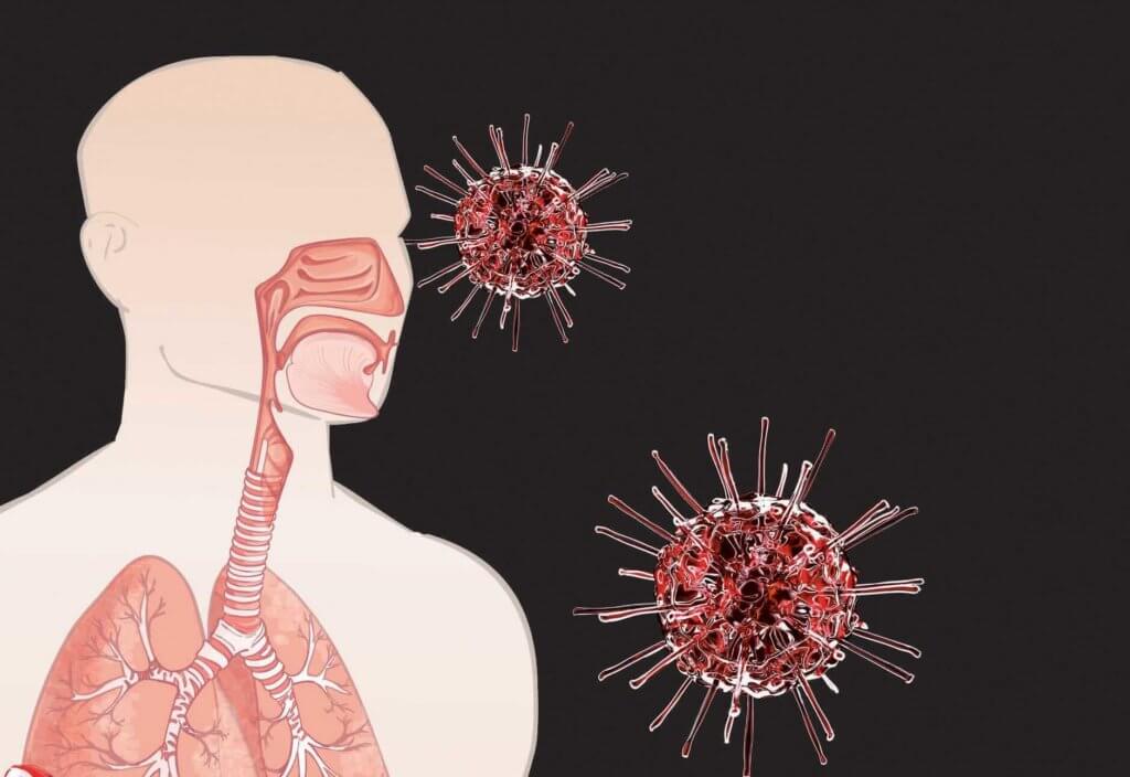Infographic: How COVID-19 invades the body, step by step | Genetic ...