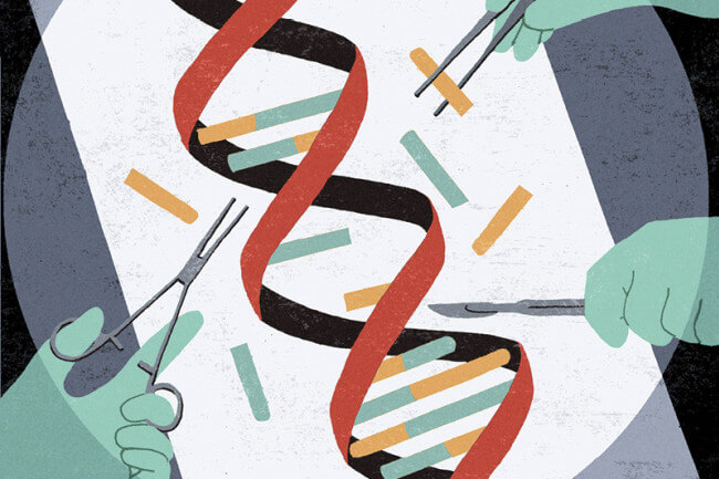 Infographic: What CRISPR is curing in 2020 - Genetic Literacy Project