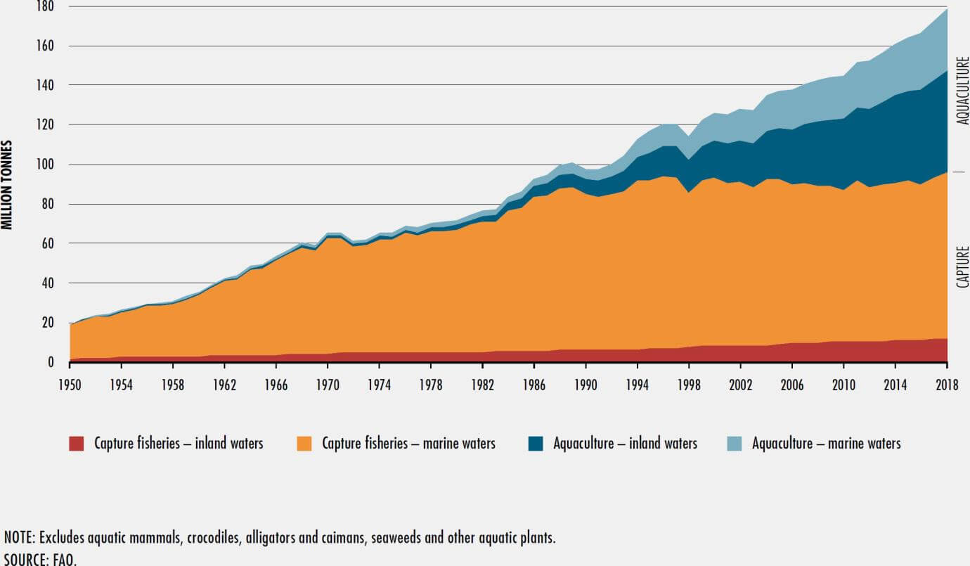 Viewpoint: Fish farming has a sustainability problem and genetic ...