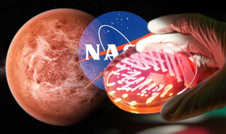 Venus shows signs of life. Here’s what it means - Genetic Literacy Project