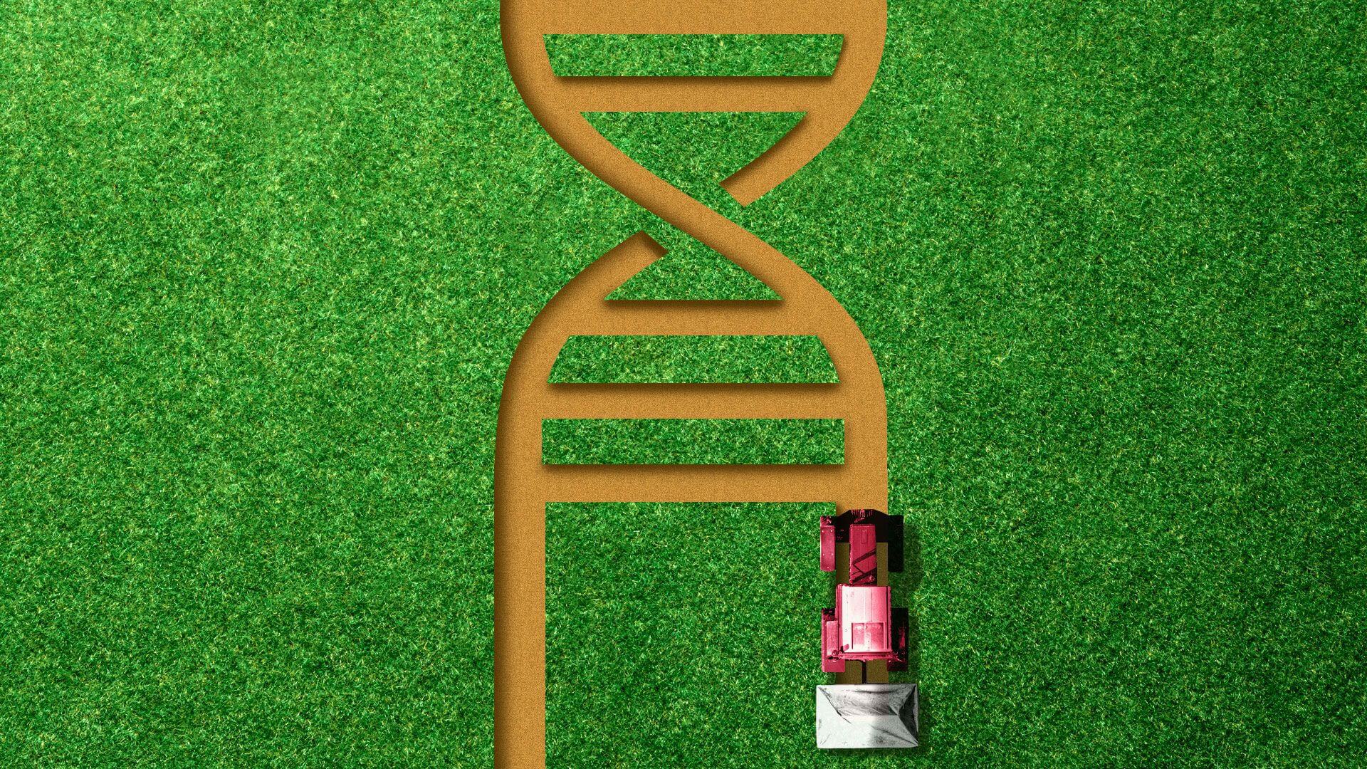 Gene-edited crops and animals: Best-kept secrets in the fight against ...
