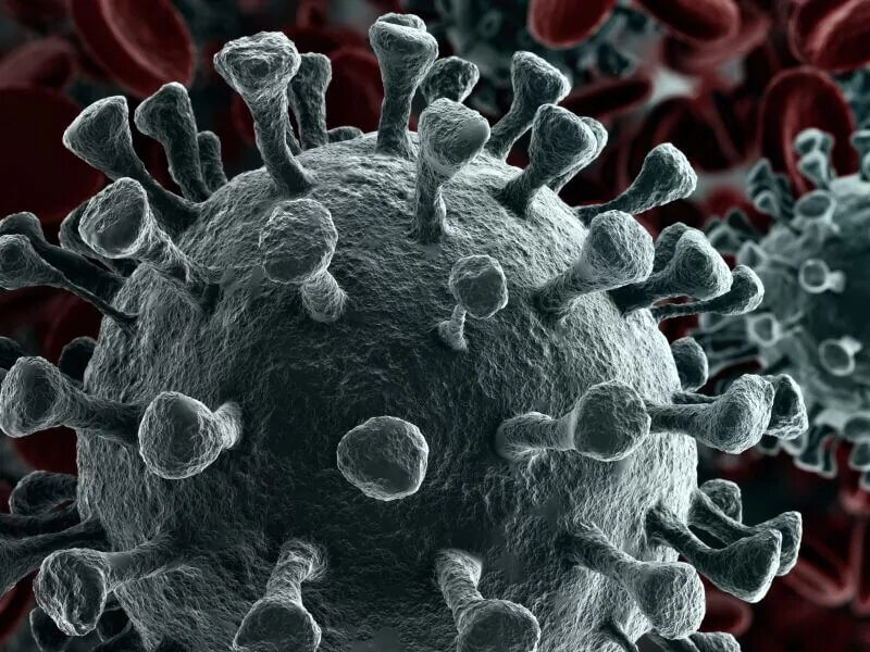 'Like a fire alarm and a sprinkler system all in one': Immune proteins ...